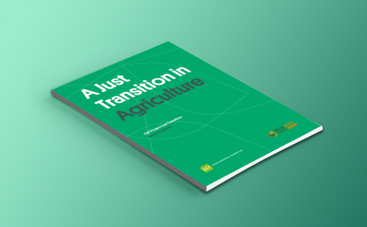 A Just Transition In Agriculture Green European Foundation