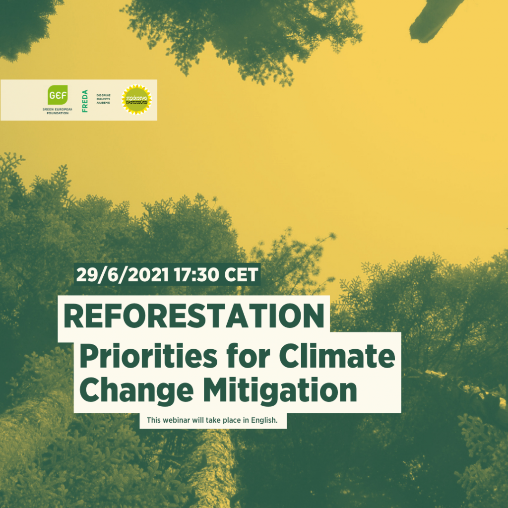 Reforestation priorities for climate change mitigation: How the ...